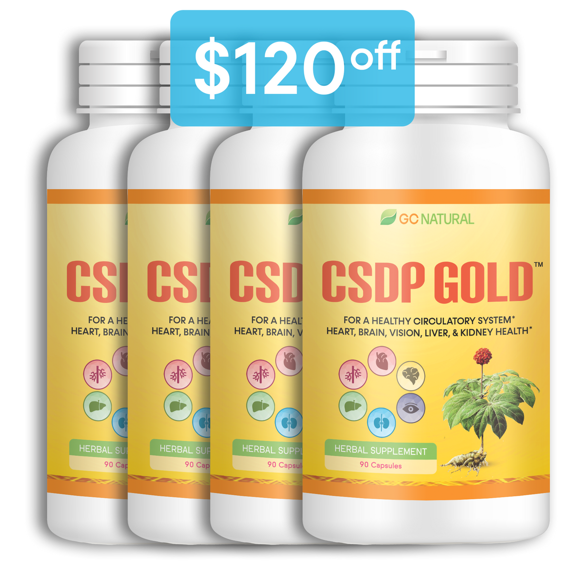 혈액 혈관 영양제 CSDP GOLD 조혈 순환 약초 영양제 뇌 눈 전립선 건강 – GC Natural USA